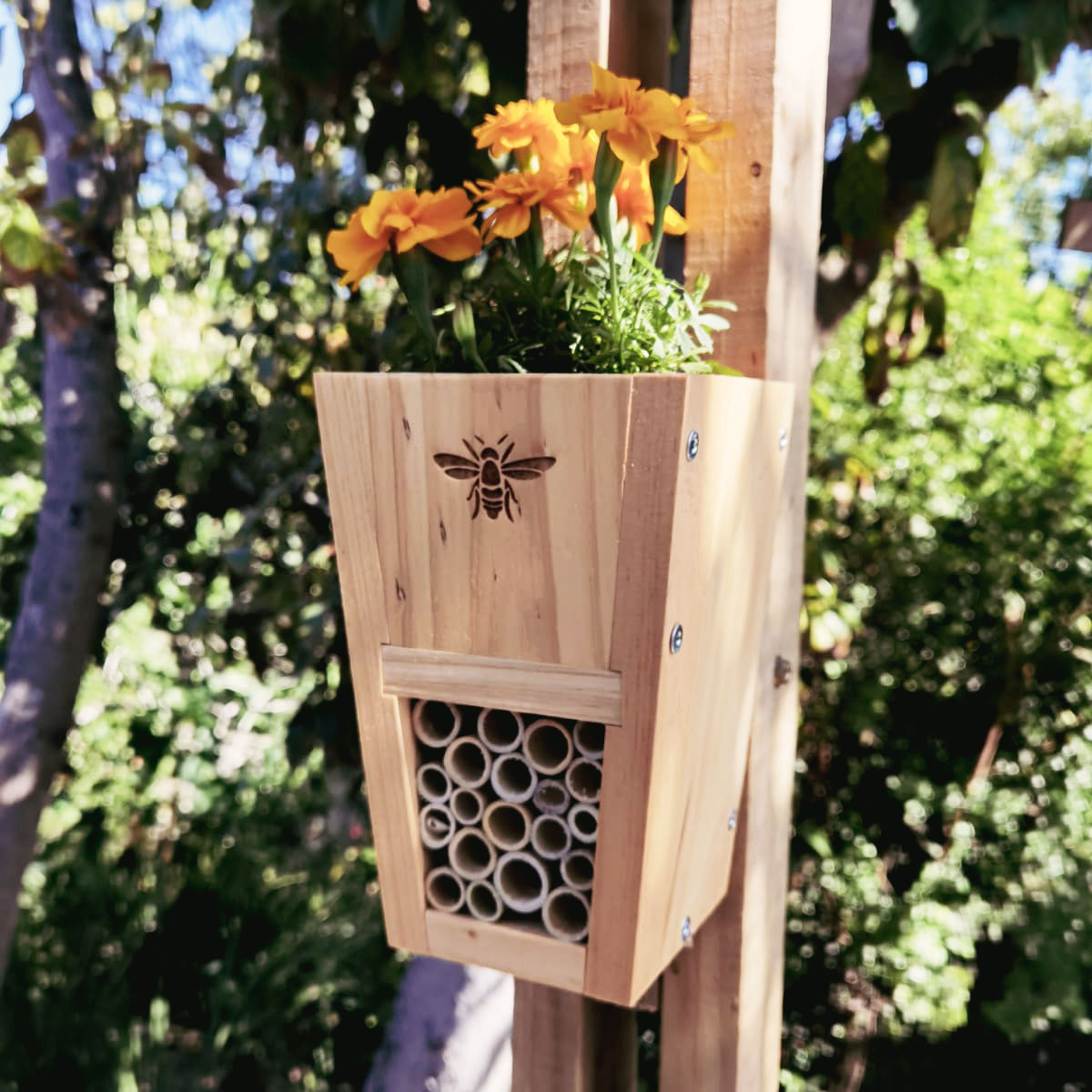 Gogga (Insect) Hotel Kit for Your Garden